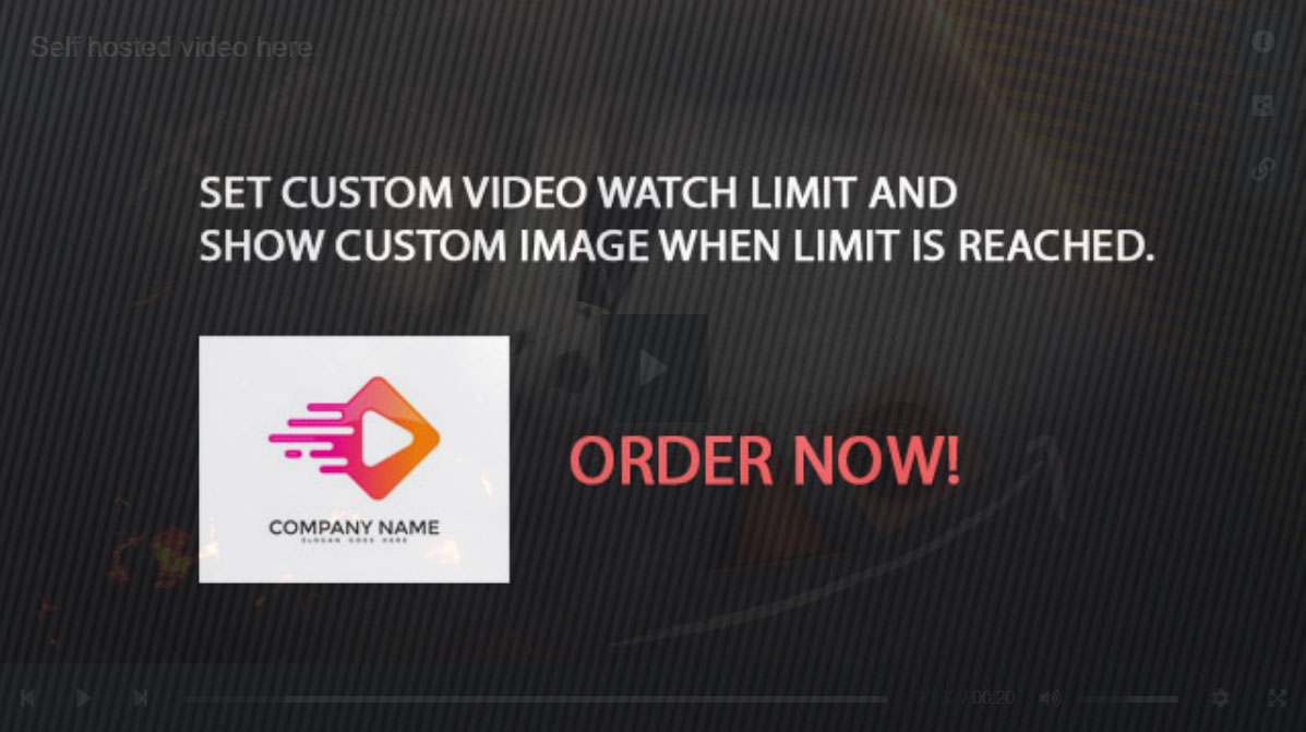 Modern Video Player强大视频和音频播放器WordPress插件V10.21-主题阁汉化