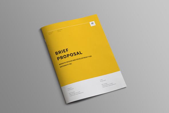 Brief Proposal by tontuz | GraphicRiver